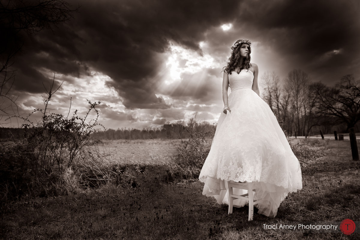 Featured Photographer • Traci Arney - Fundy Designer