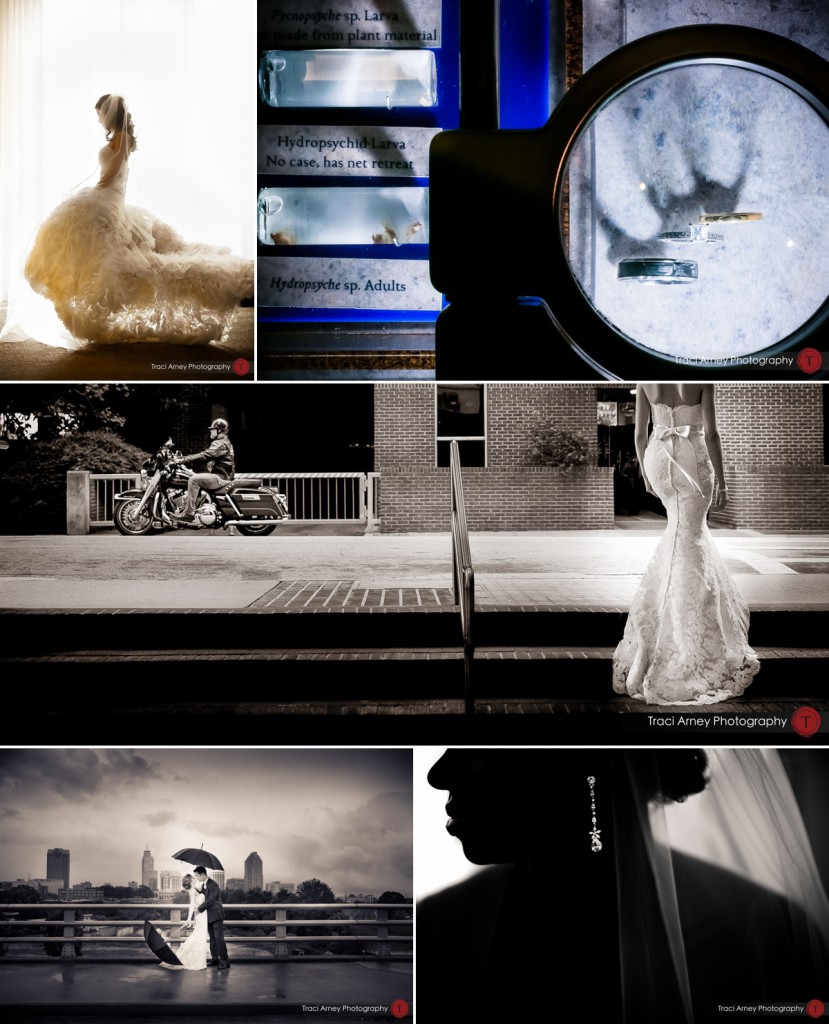 Featured Photographer • Traci Arney - Fundy Designer