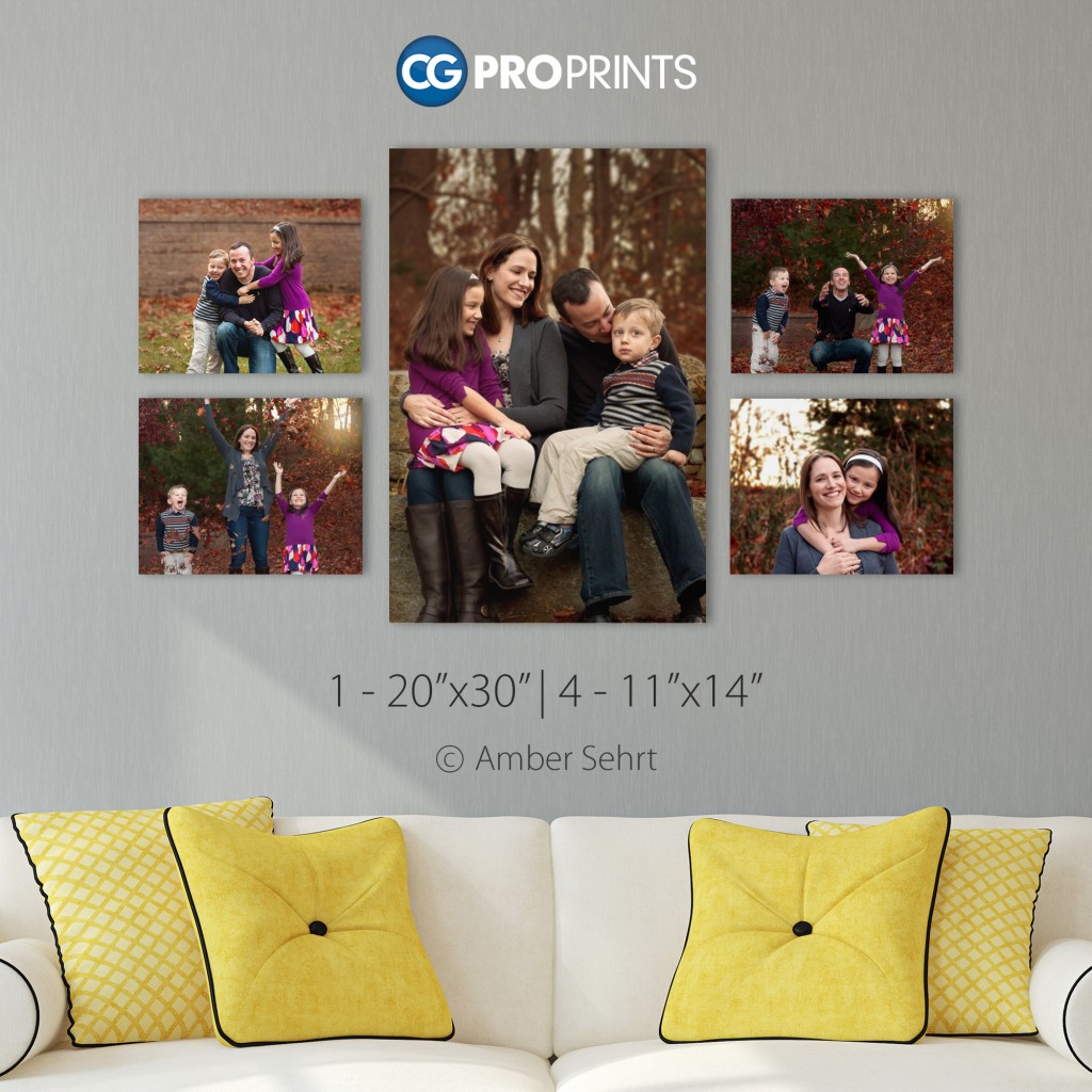 Webinar • The Art of In-Person Sales with CG Pro Prints - Fundy Designer