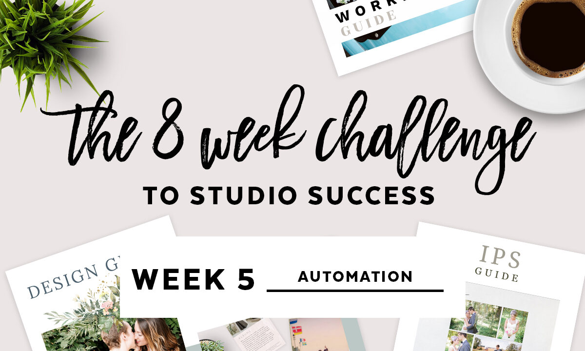 Studio Success Challenge - Week 5 - Fundy Designer